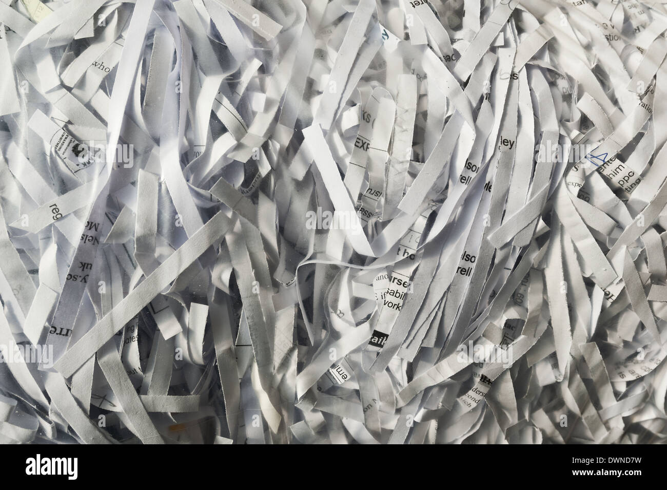 Shredded documents waste paper inside thin transparent plastic bag ...