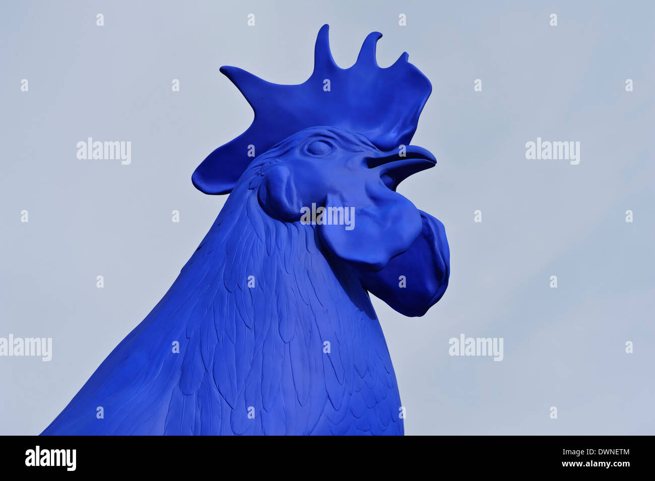 A giant blue cockerel sculpture by German artist Katharina Fritson on a ...