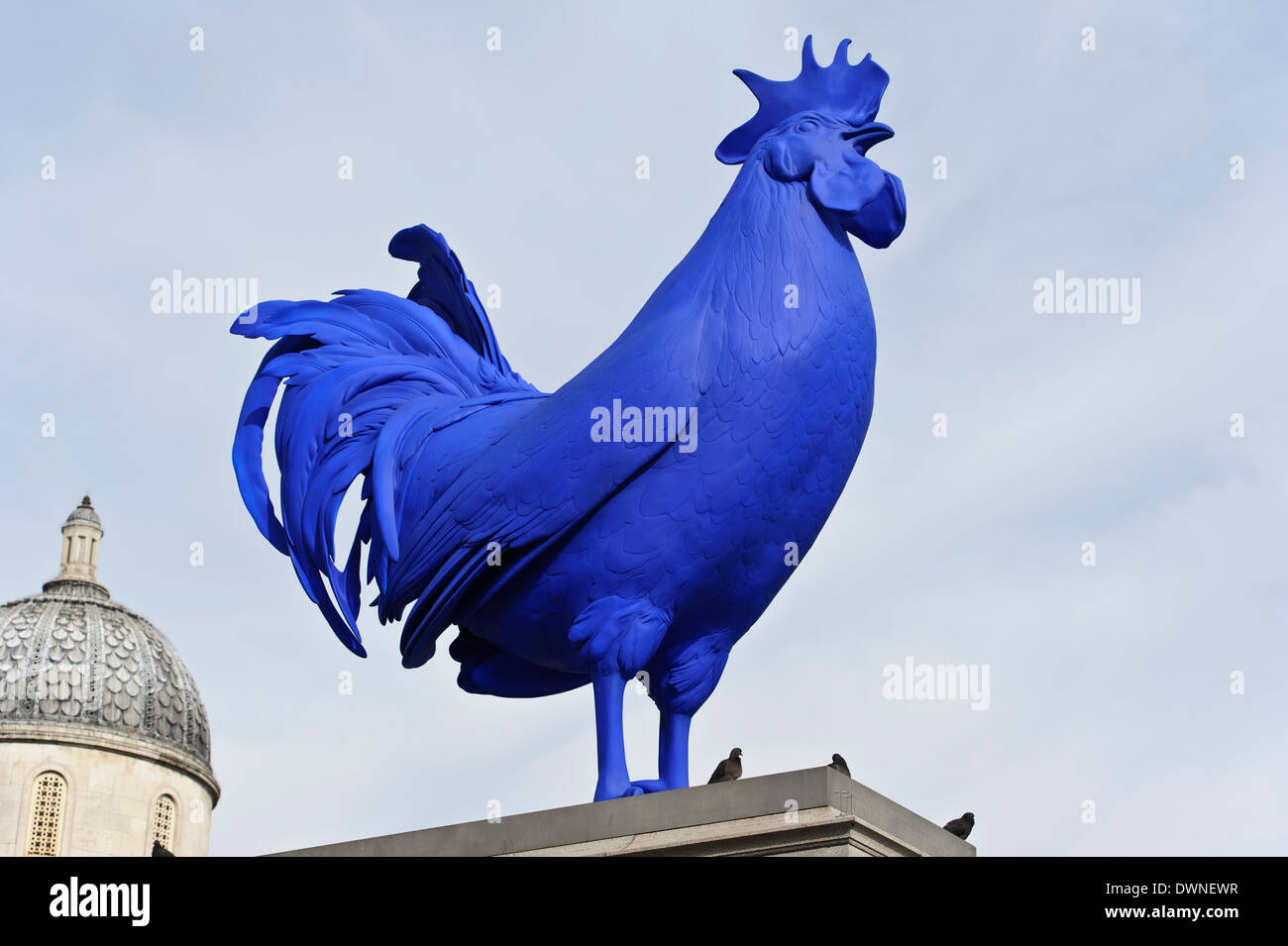 A giant blue cockerel sculpture by German artist Katharina Fritson on a ...