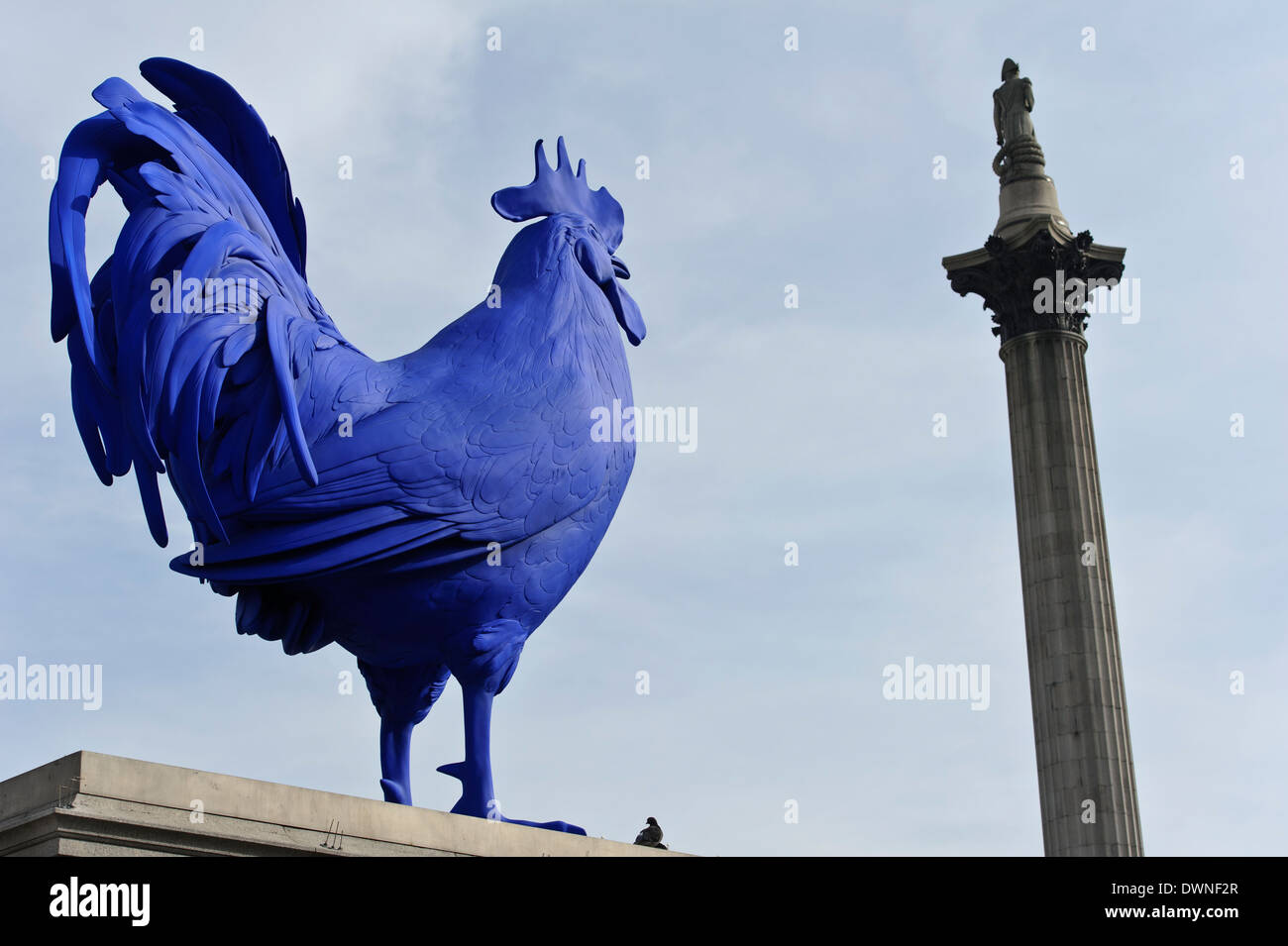 A giant blue cockerel sculpture by German artist Katharina Fritson on a ...
