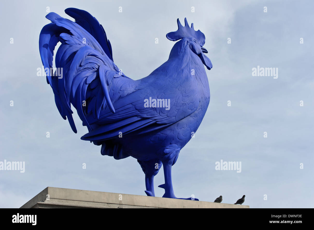 A giant blue cockerel sculpture by German artist Katharina Fritson on a ...