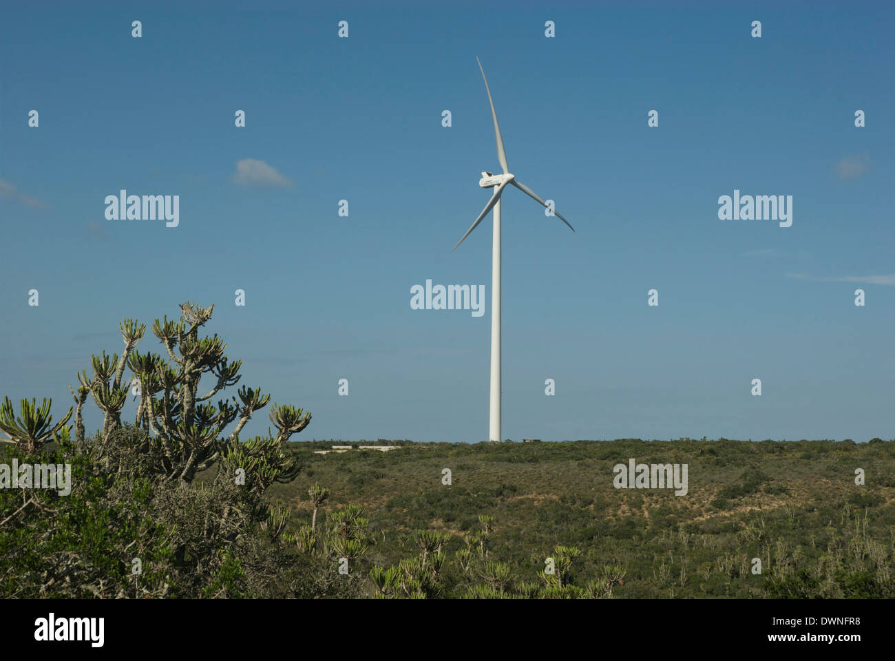 Wind turbine in Coega Industrial Development Zone, Eastern Cape, April ...