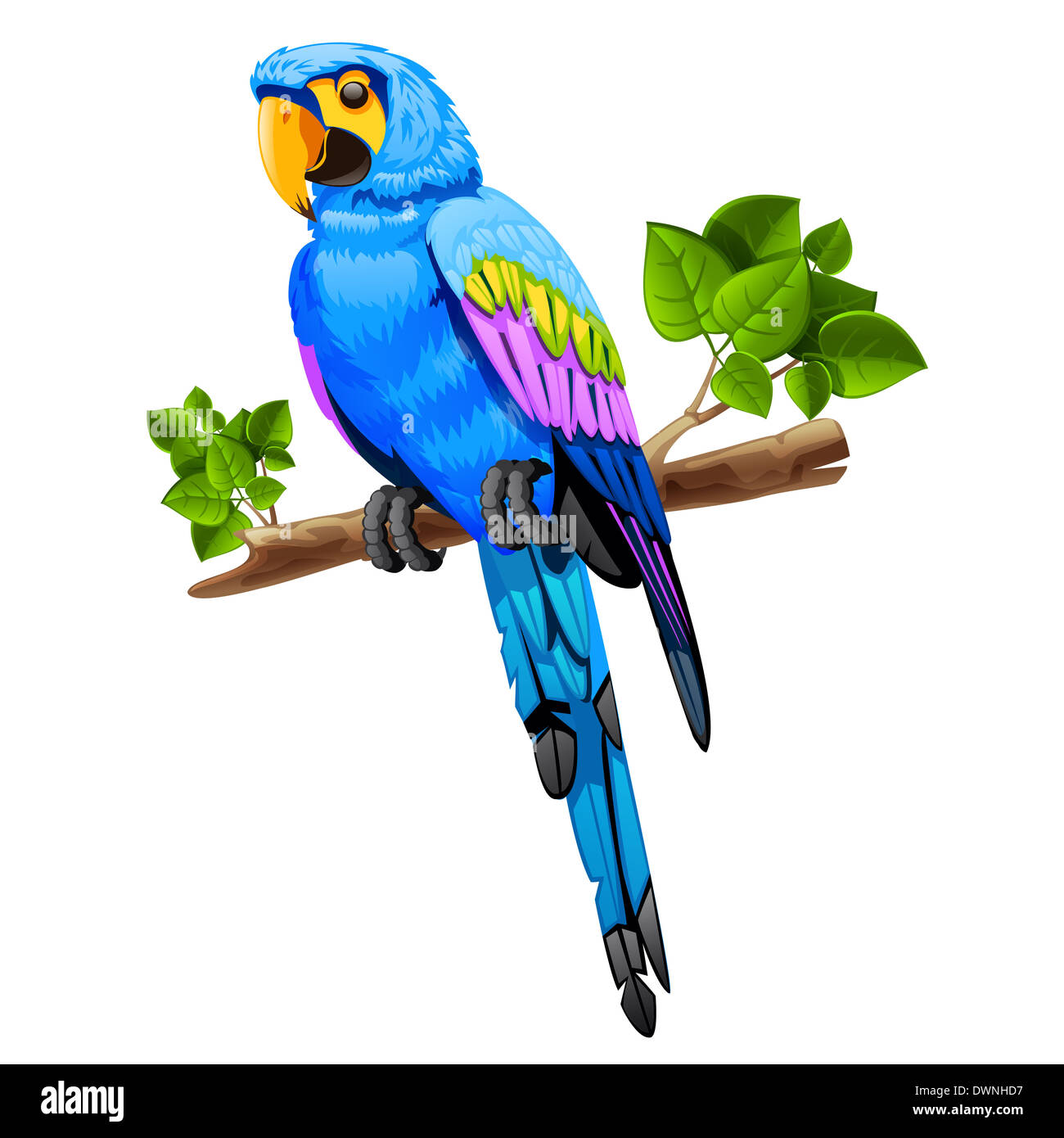 vector illustration of a large blue parrot on a branch on a white ...