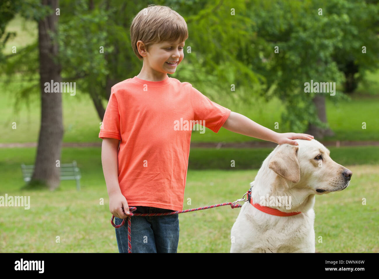 Happy boy with pet dog at park Stock Photo - Alamy