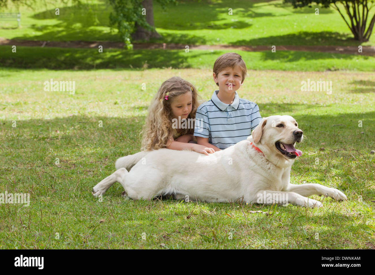 Kids with pet dog hi-res stock photography and images - Alamy