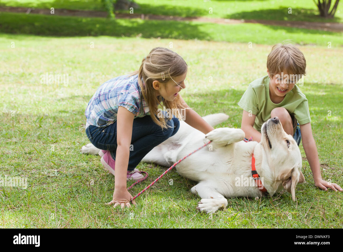 Full length of kids playing with pet dog at park Stock Photo - Alamy
