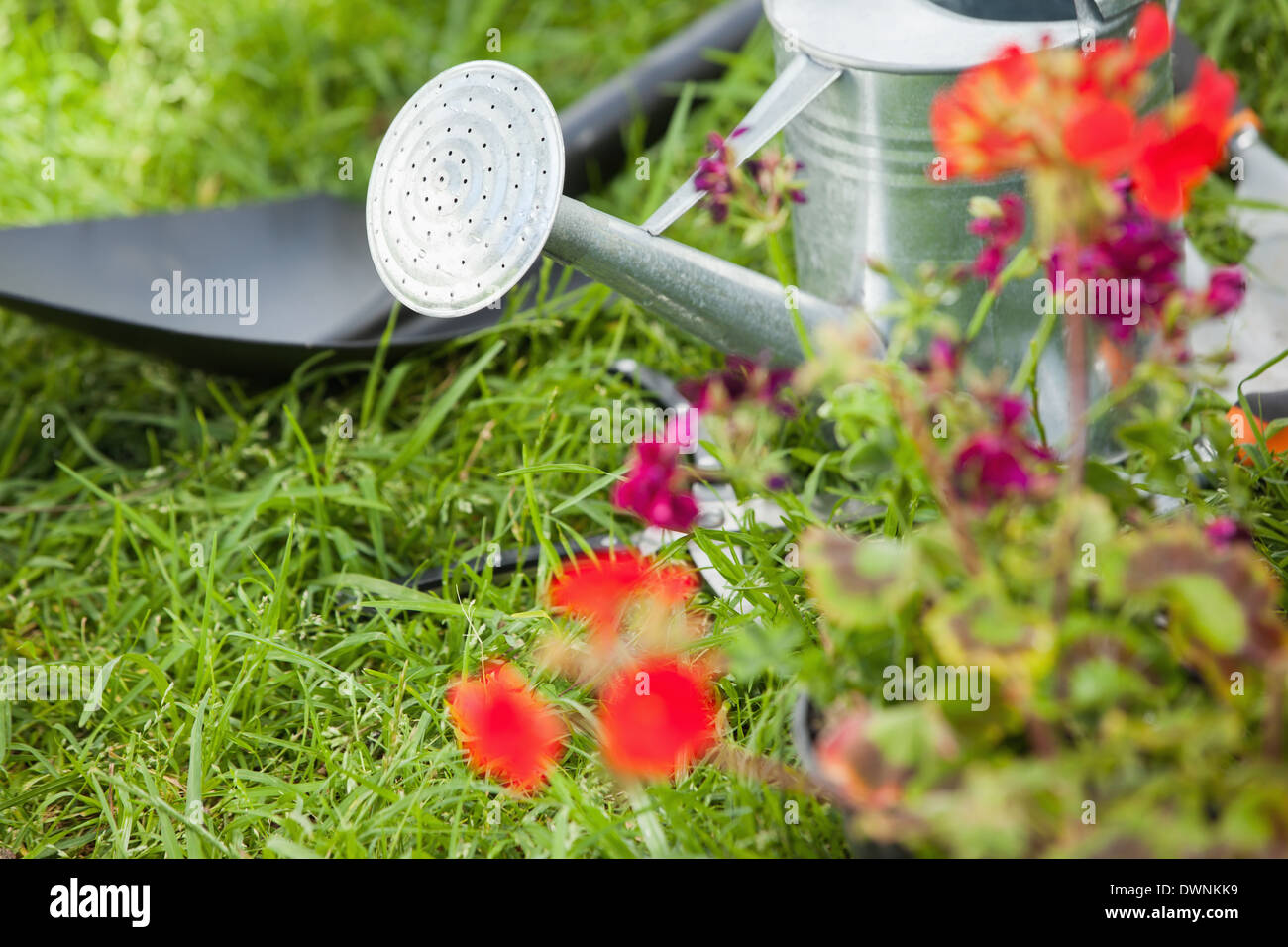 Spade watering can hi-res stock photography and images - Alamy