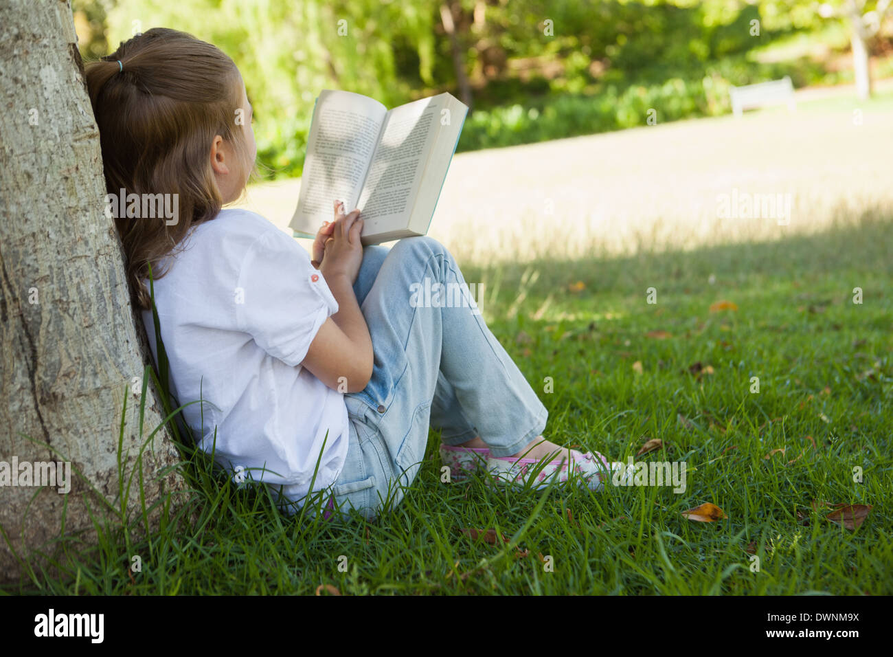 Green park reading view hi-res stock photography and images - Alamy