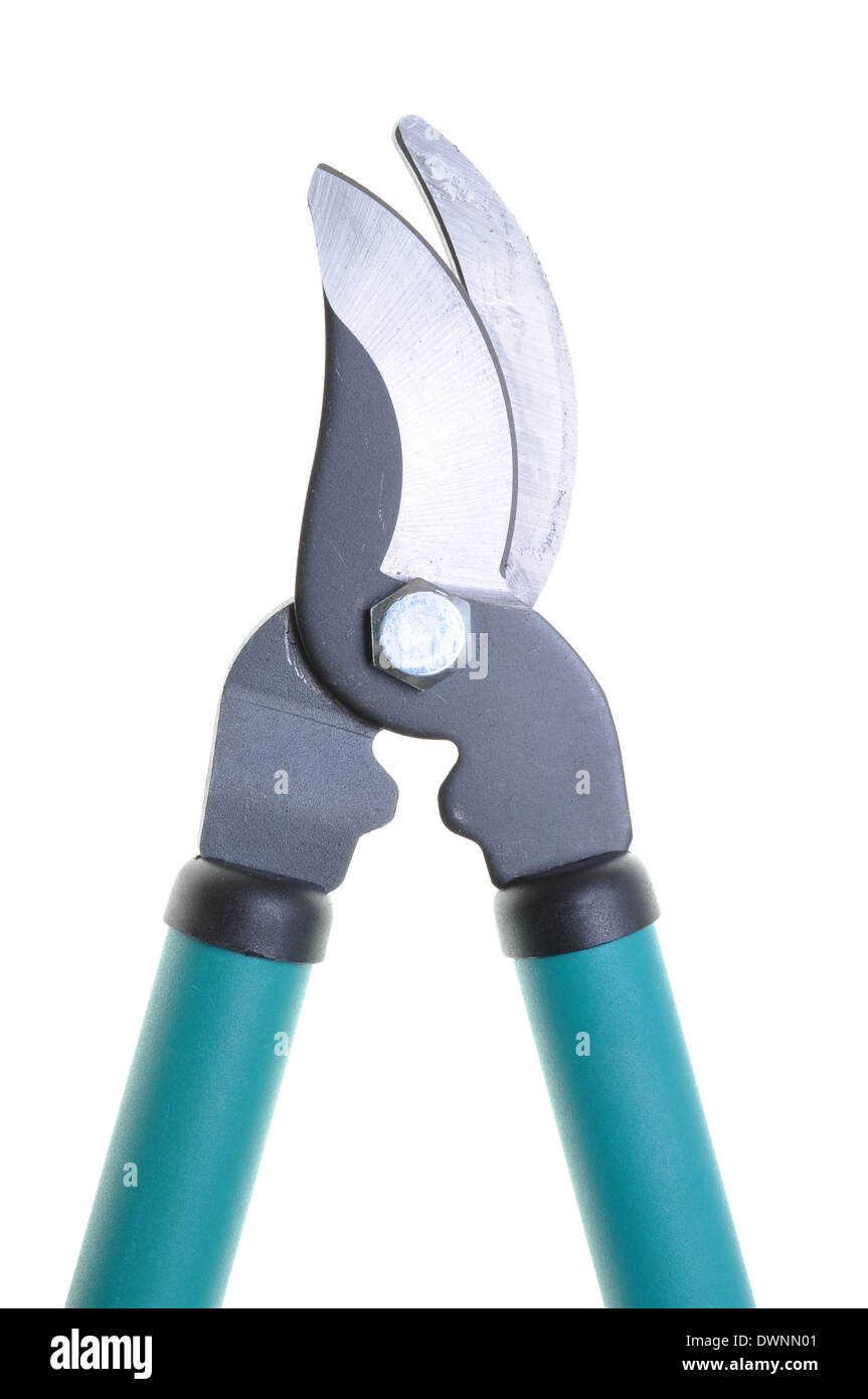 Early spring gardening Cut Out Stock Images & Pictures - Alamy