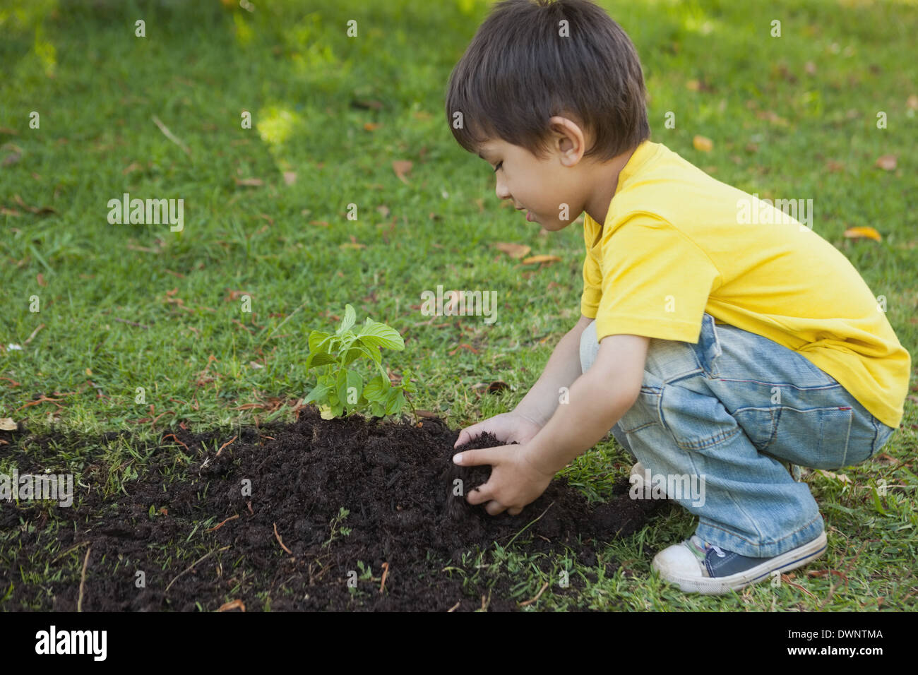 Boy planting hi-res stock photography and images - Alamy