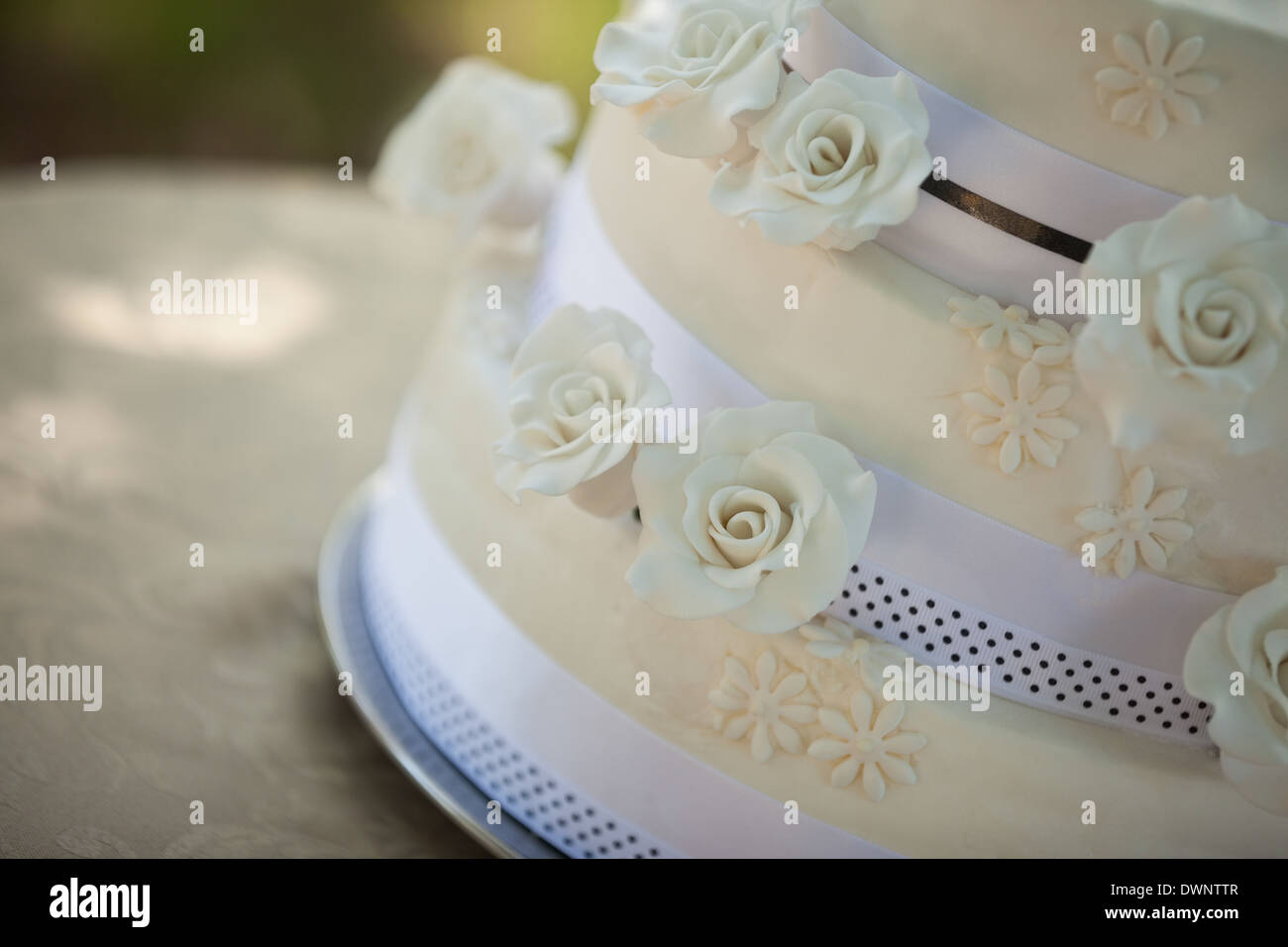 Cake shot hi-res stock photography and images - Alamy