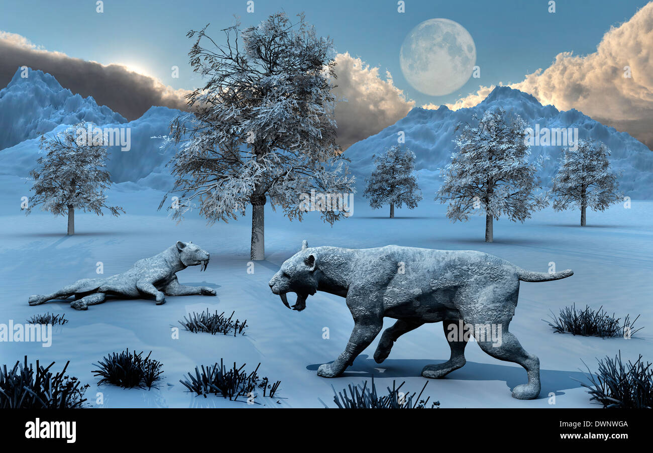 Sabre toothed tiger smilodon hi-res stock photography and images - Alamy