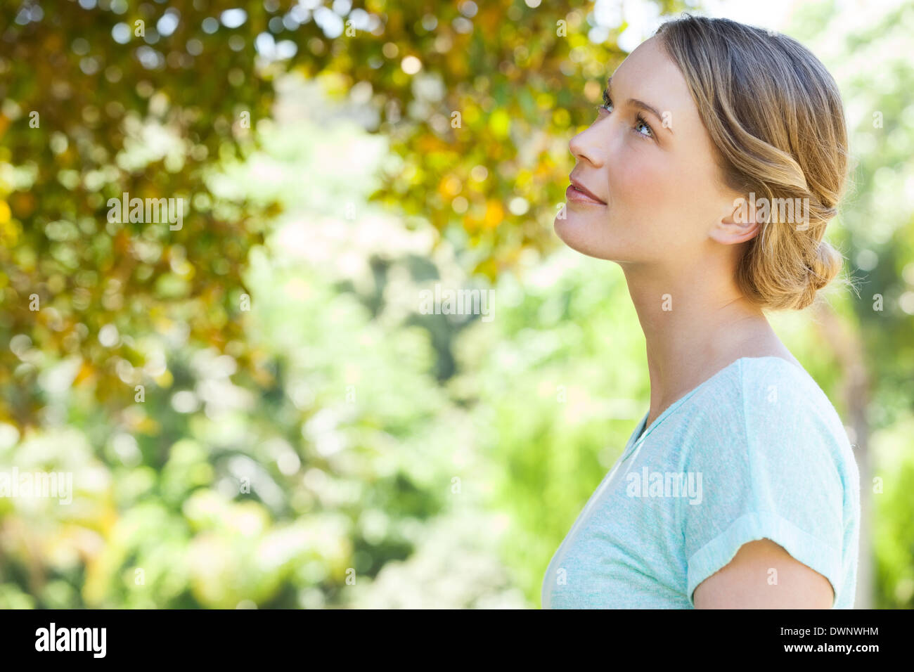 Looking at leaves hi-res stock photography and images - Alamy