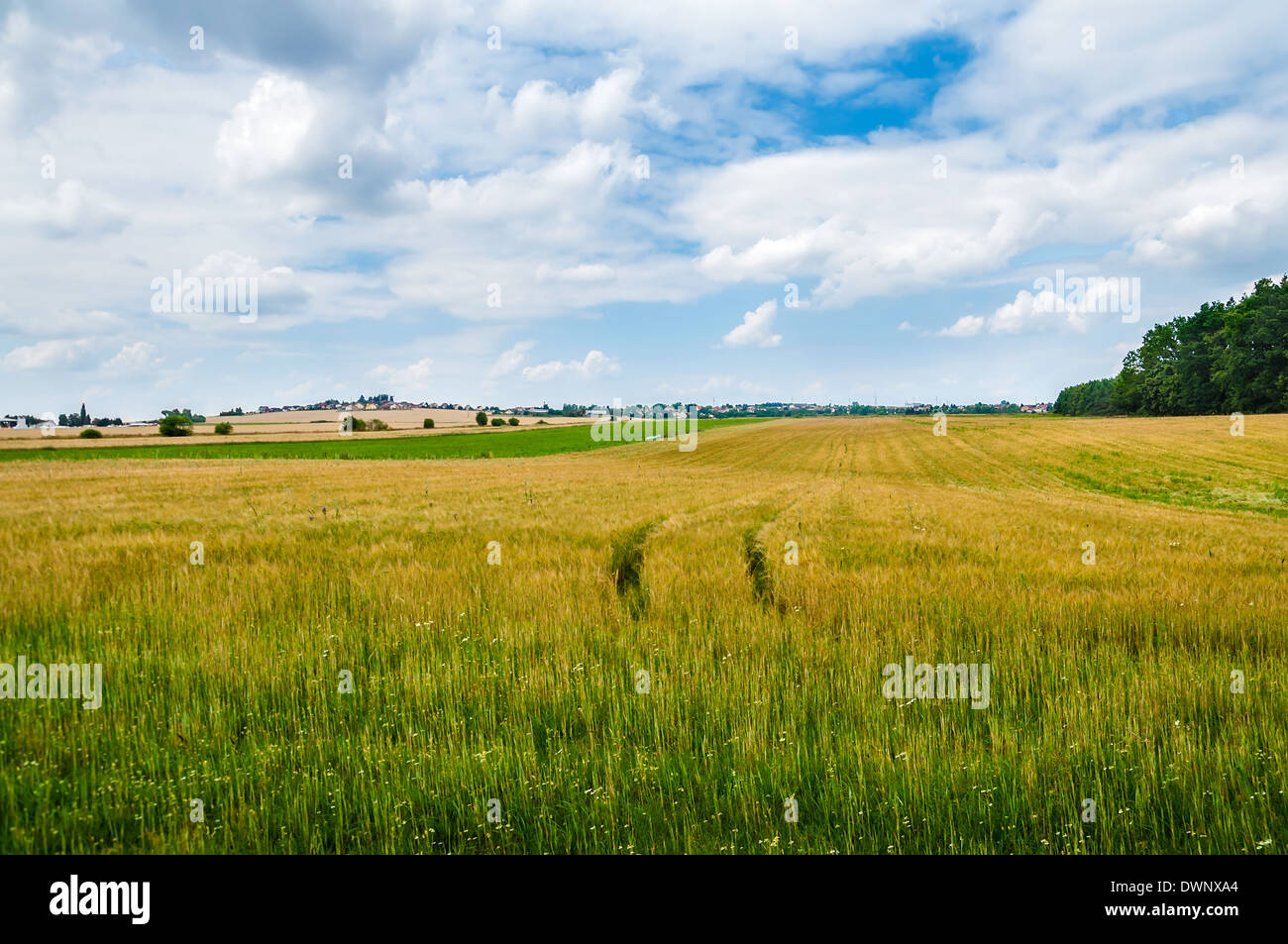 Agriculture farm field hi-res stock photography and images - Alamy
