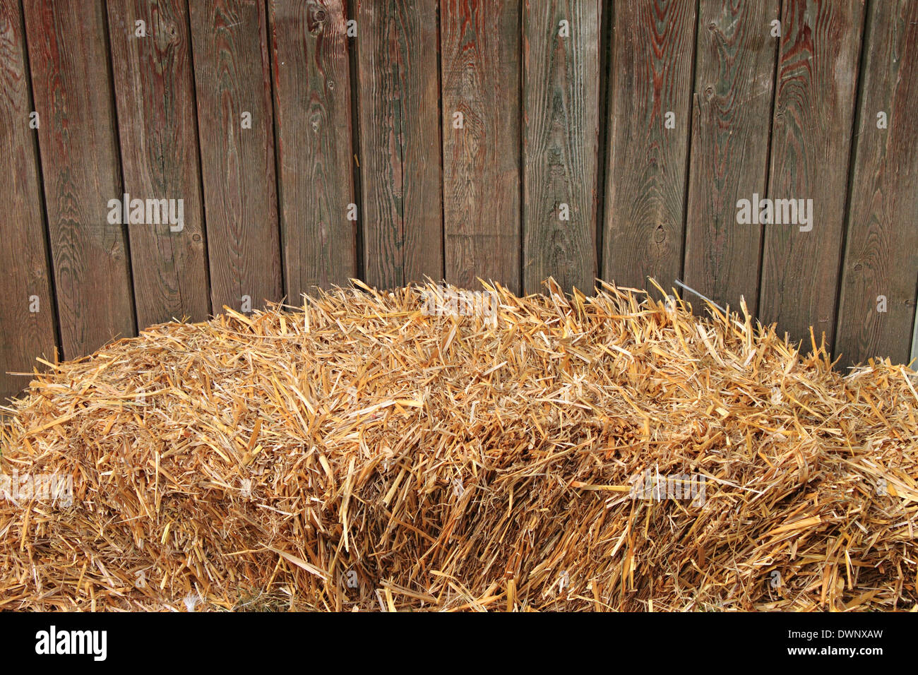 Hay bale background hi-res stock photography and images - Alamy