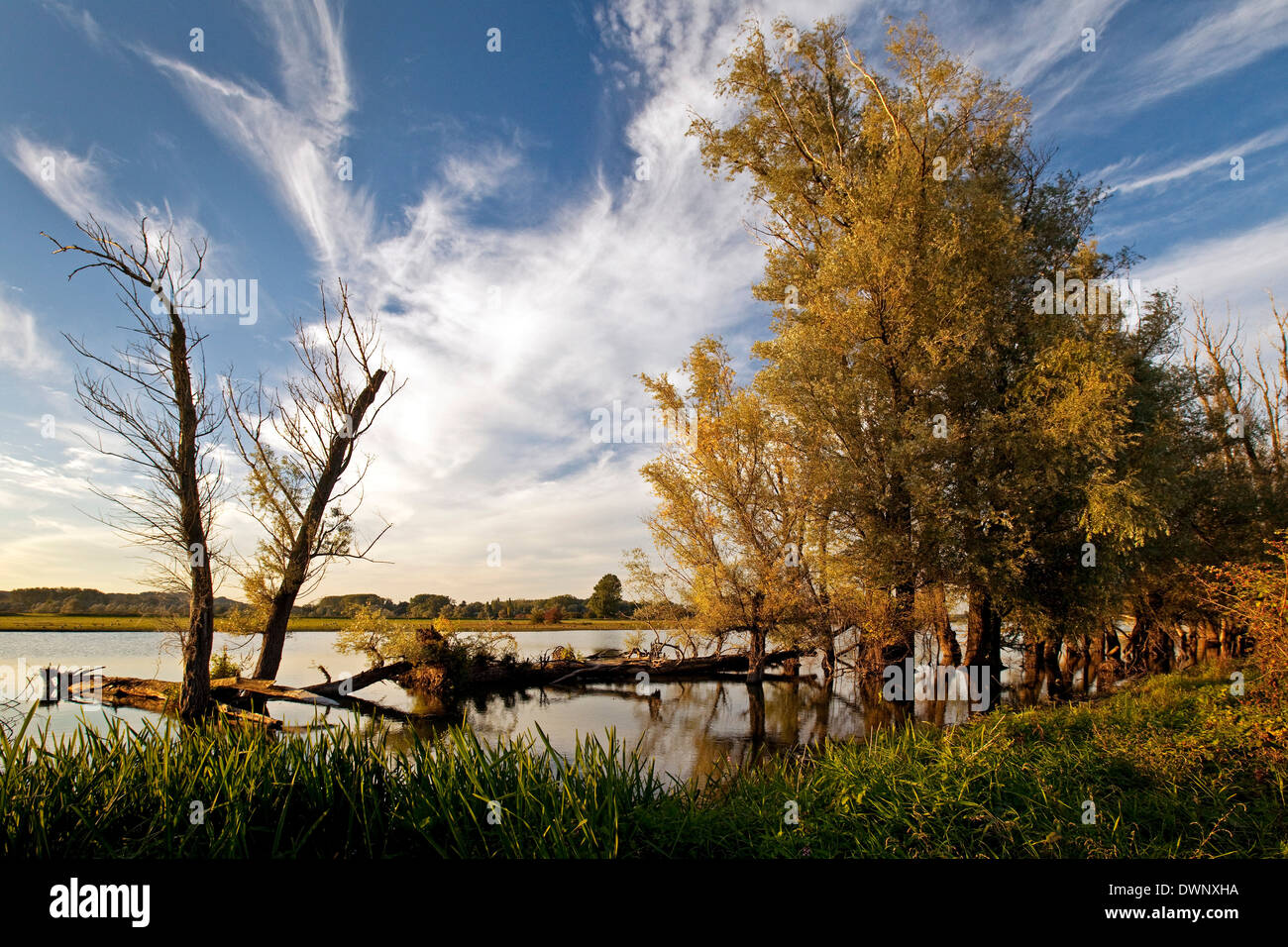 Altrhein river, Old Rhine, Xanten, Lower Rhine, North Rhine-Westphalia ...