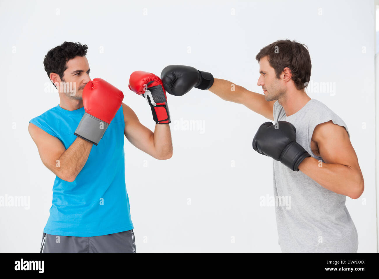 Side view of two male boxers practicing Stock Photo - Alamy