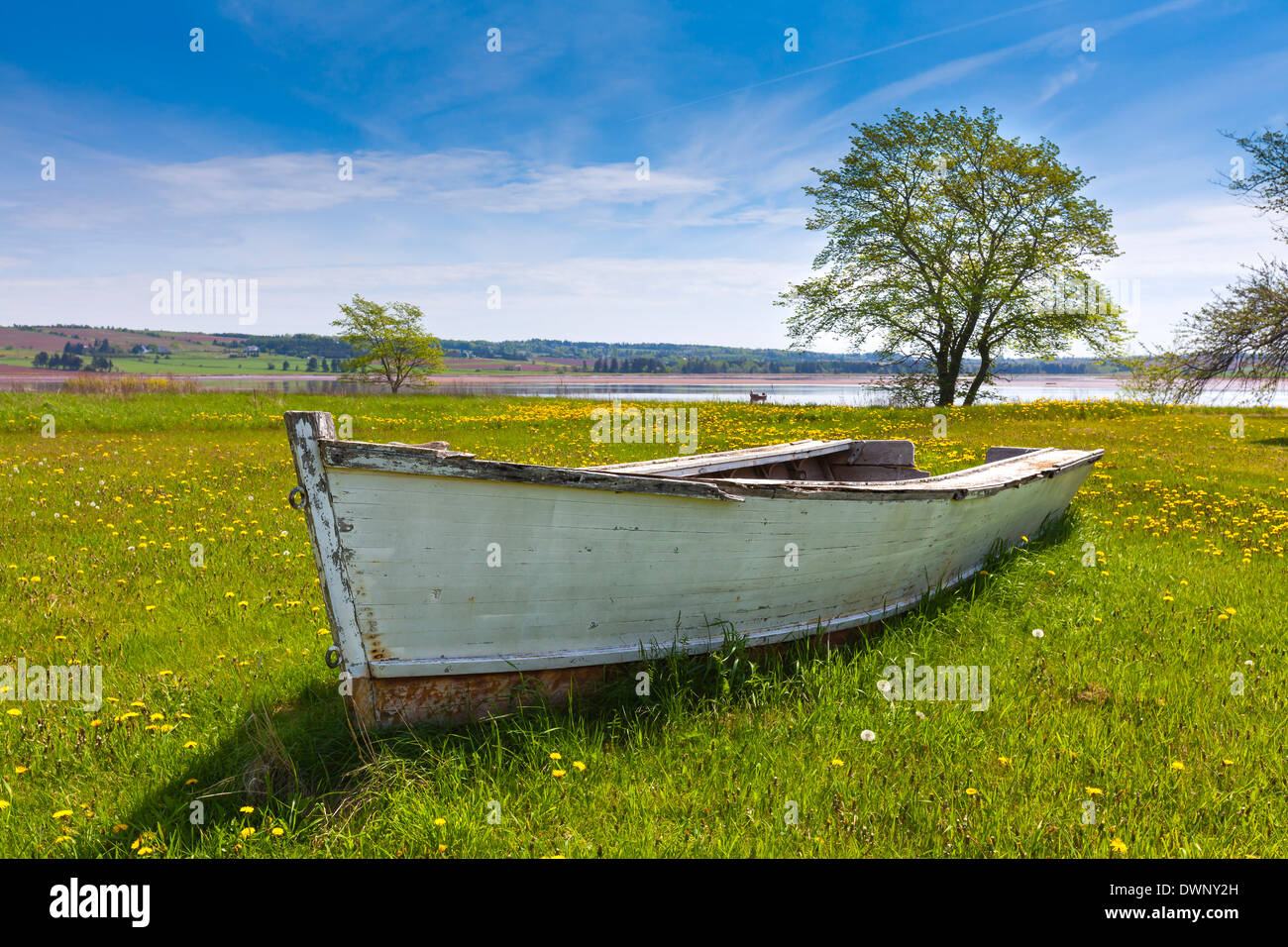 An old weathered rowboat resting in the grass along the shore of rural ...