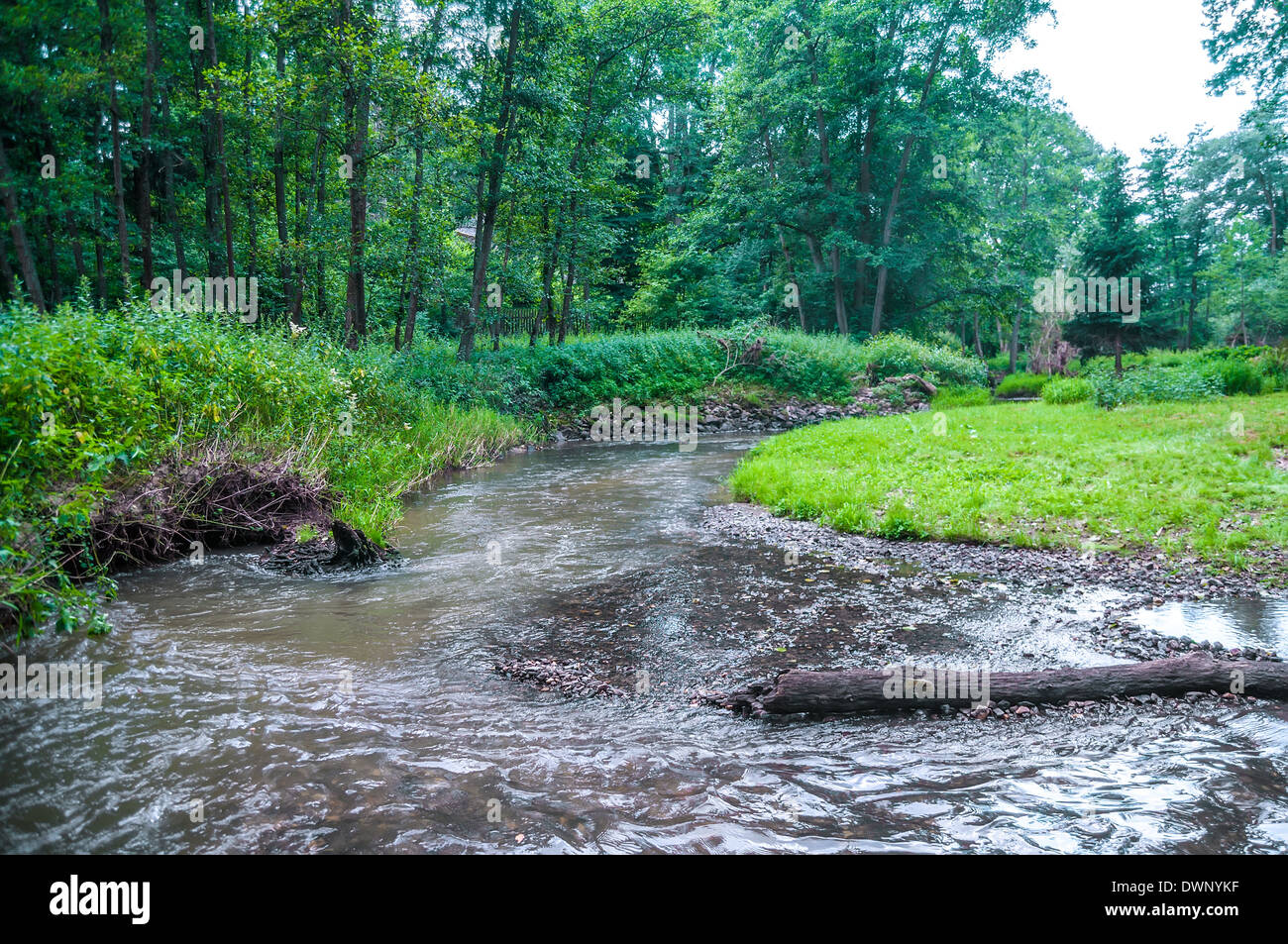 Flows to leaf river High Resolution Stock Photography and Images - Alamy
