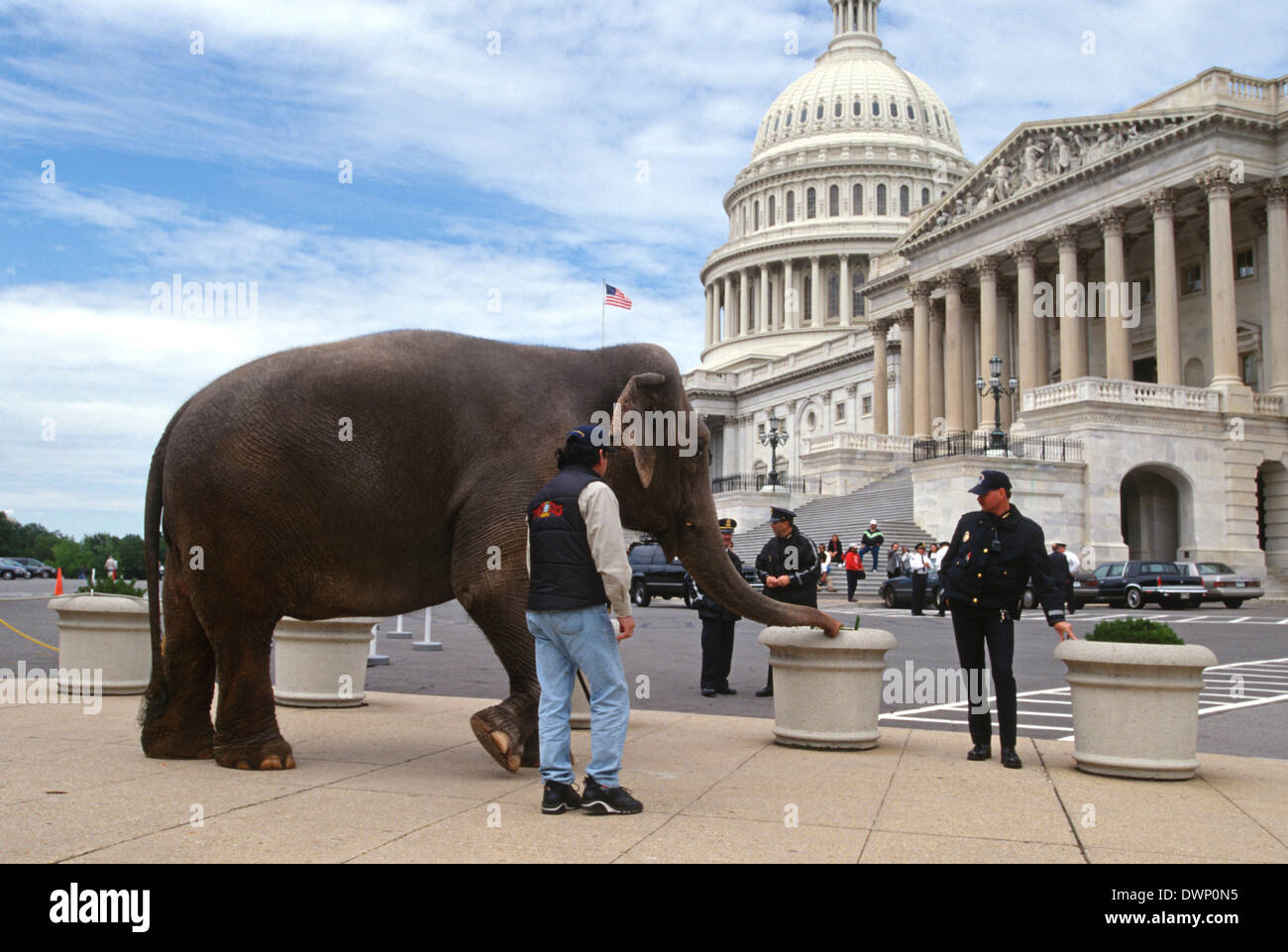 Elephant dome hi-res stock photography and images - Alamy