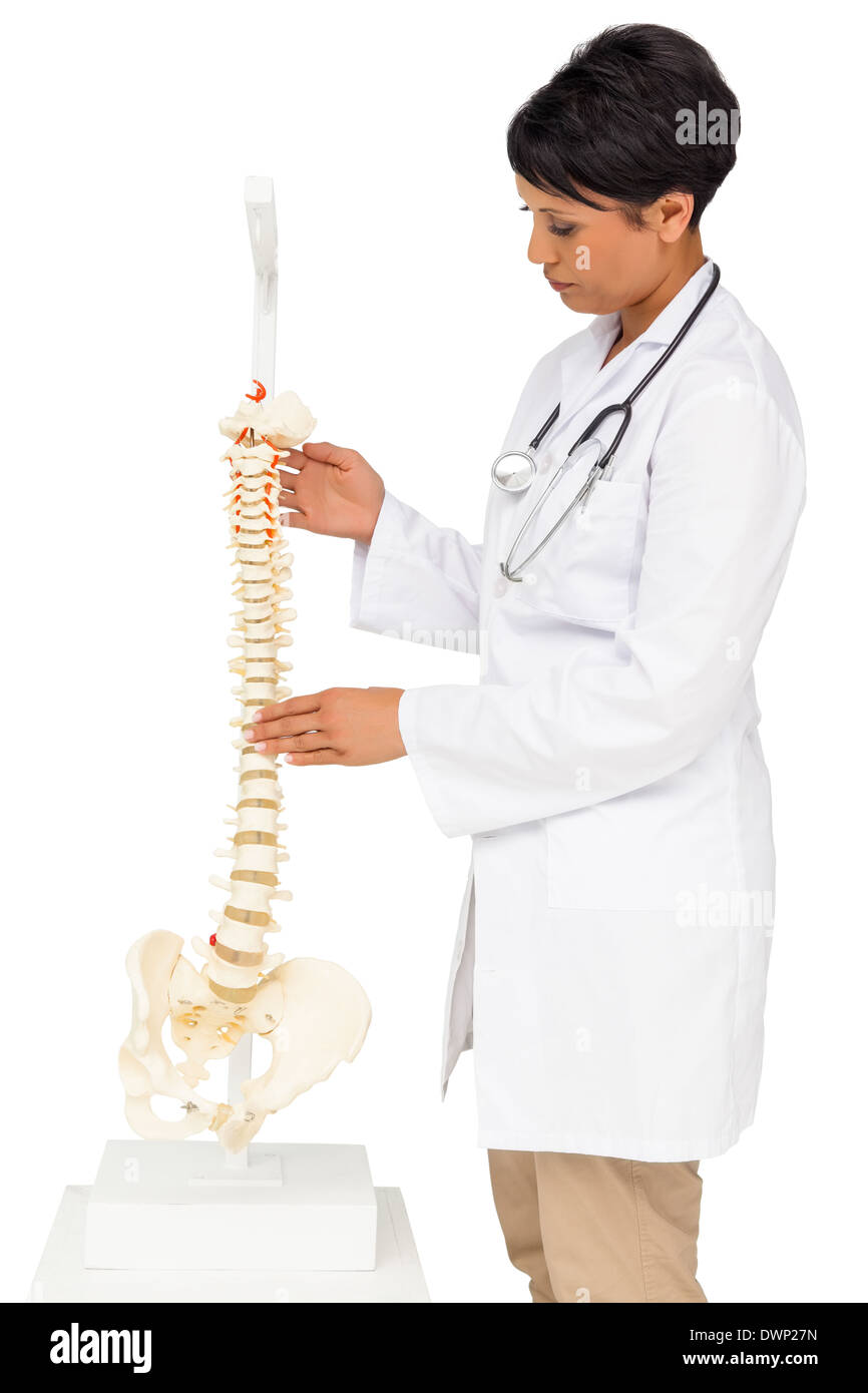 Side view of a female doctor holding skeleton model Stock Photo - Alamy