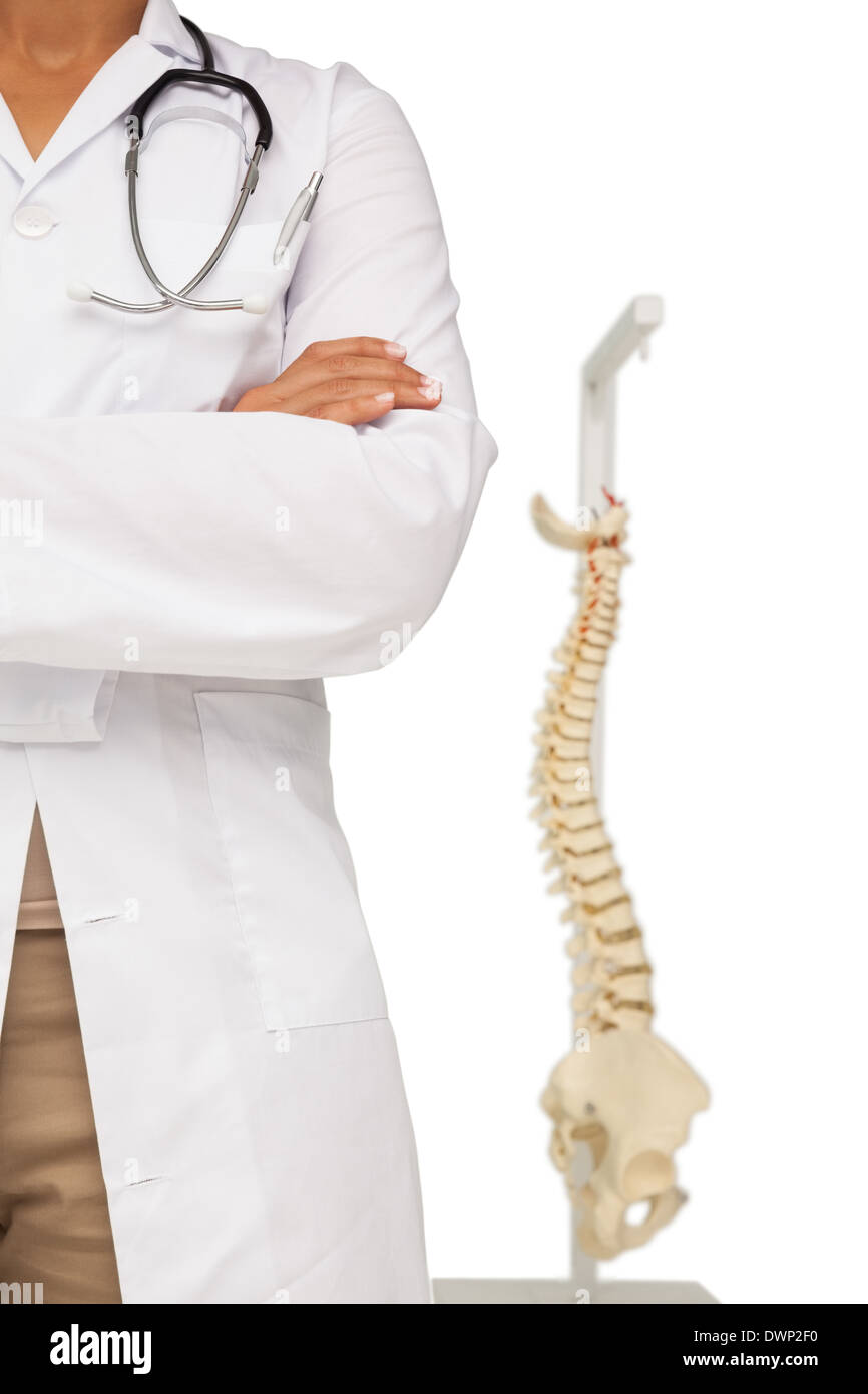 Mid section of a female doctor with skeleton model Stock Photo - Alamy