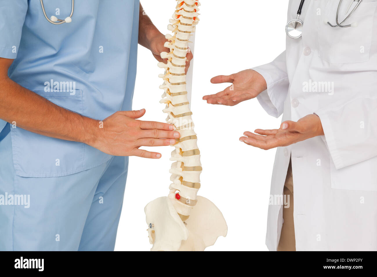 Osteopathy woman skeleton hi-res stock photography and images - Alamy