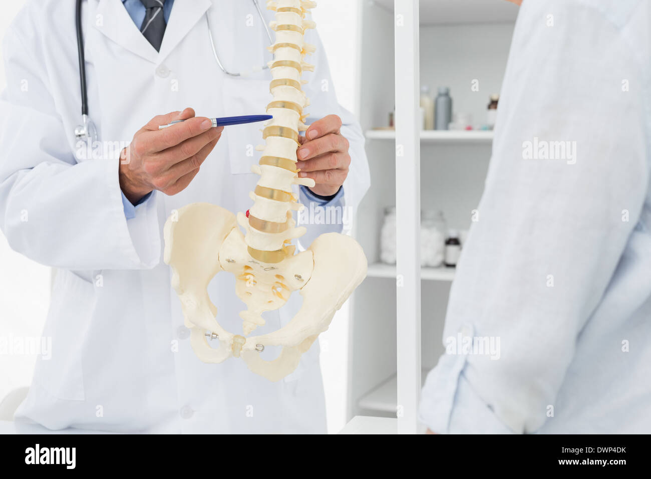 Mid section of doctor explaining the spine to patient Stock Photo - Alamy