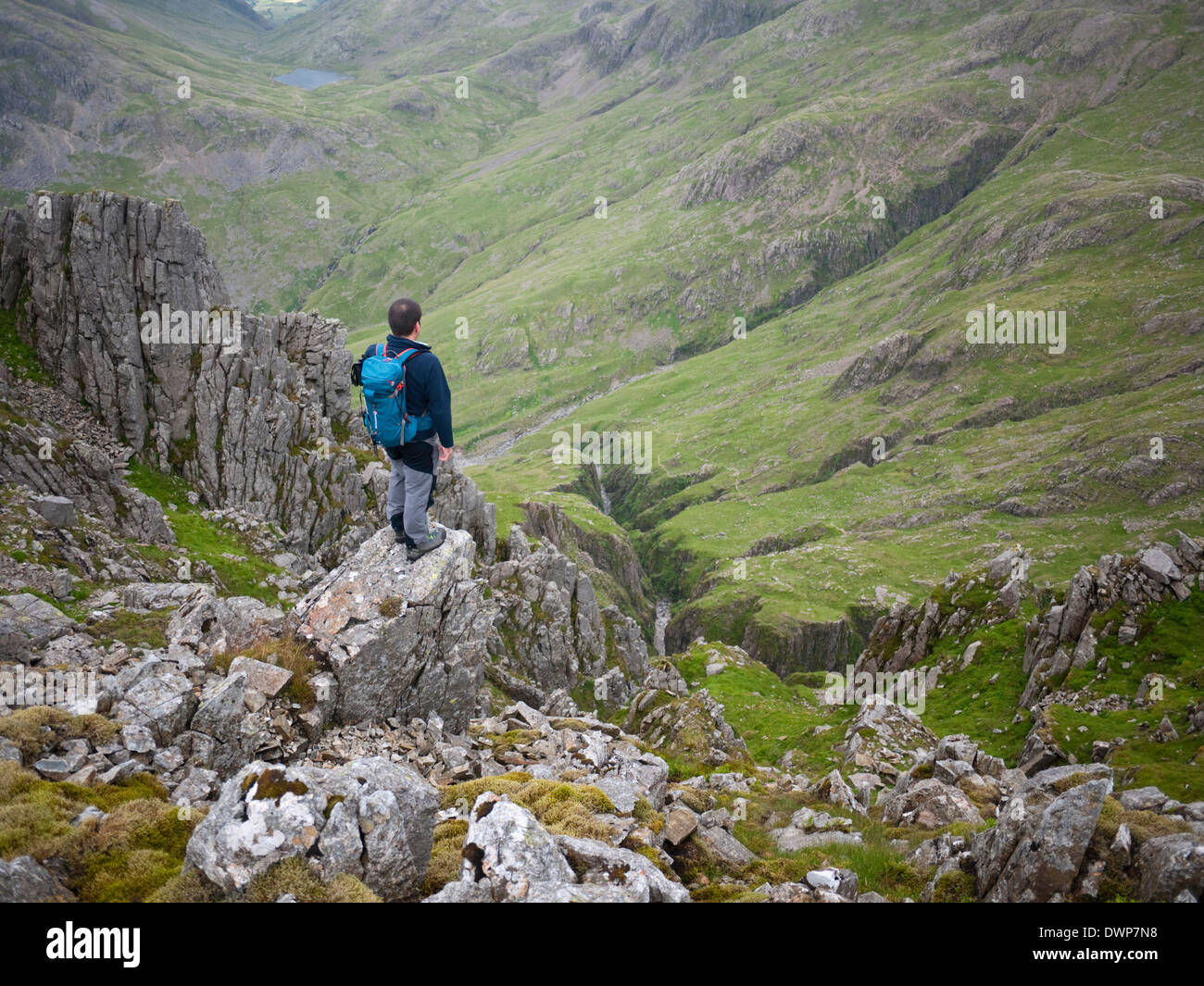 A hill walker admires the view from Lingmell Crag, down Piers Gill to ...