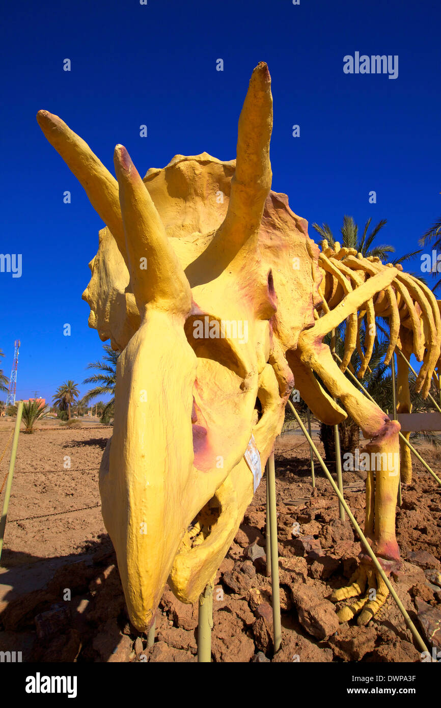 Dinosaur bones museum hi-res stock photography and images - Alamy