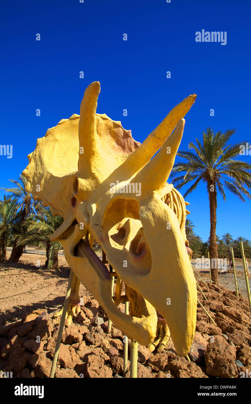 Full Scale Maquette Of A Triceratops, Tahiri Museum, Rissani, Morocco ...