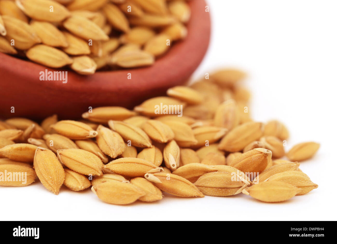 Paddy seeds with a brown bowl Stock Photo - Alamy