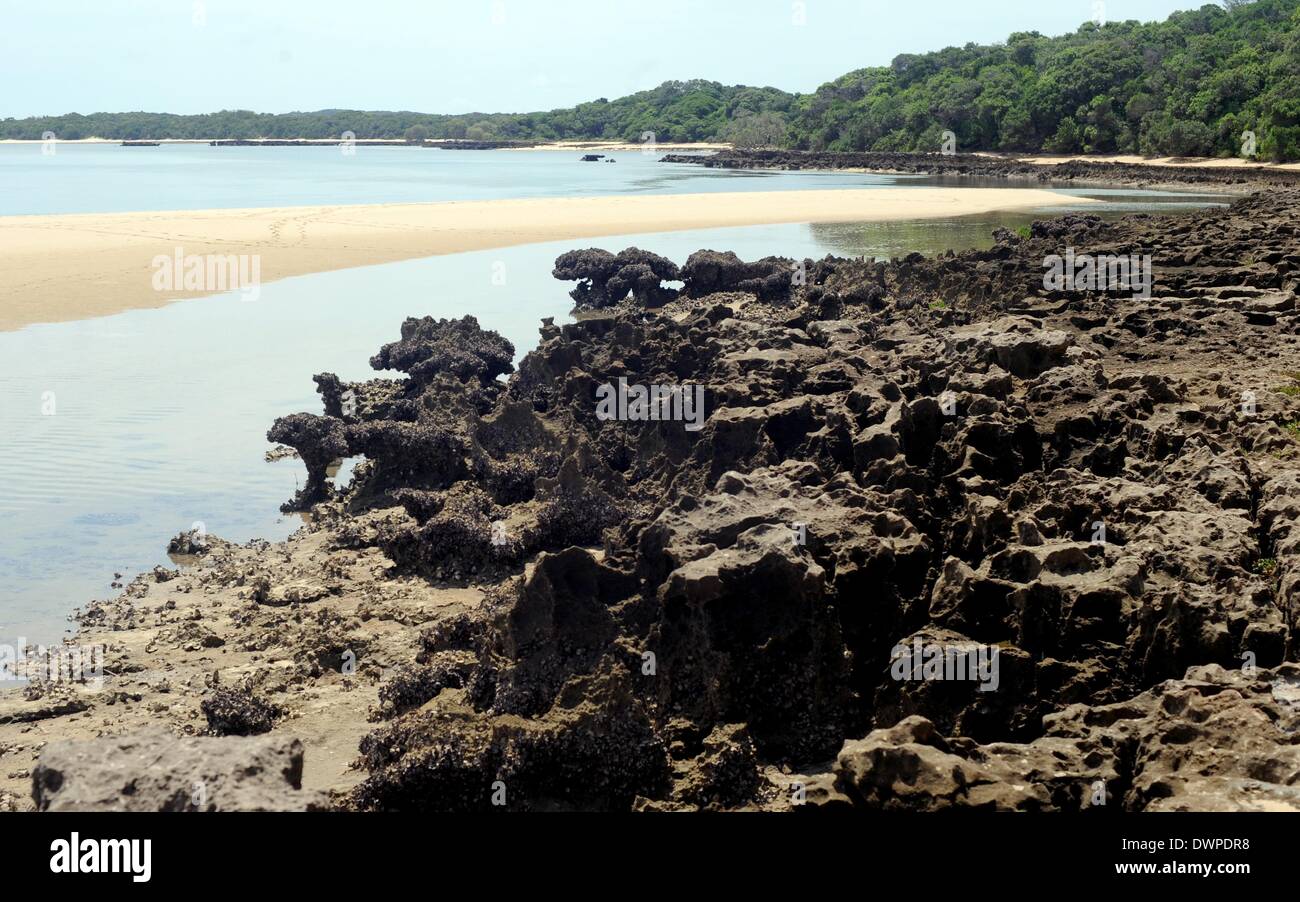 Inhaca Island, Mozambique. 24th Feb, 2013. Coral reefs are pictured at ...
