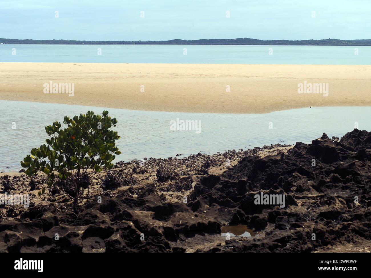 Inhaca Island, Mozambique. 24th Feb, 2013. View of coral reefs at the ...