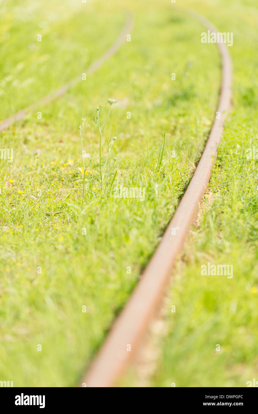 Old closed railroad track covered with green grass Stock Photo - Alamy