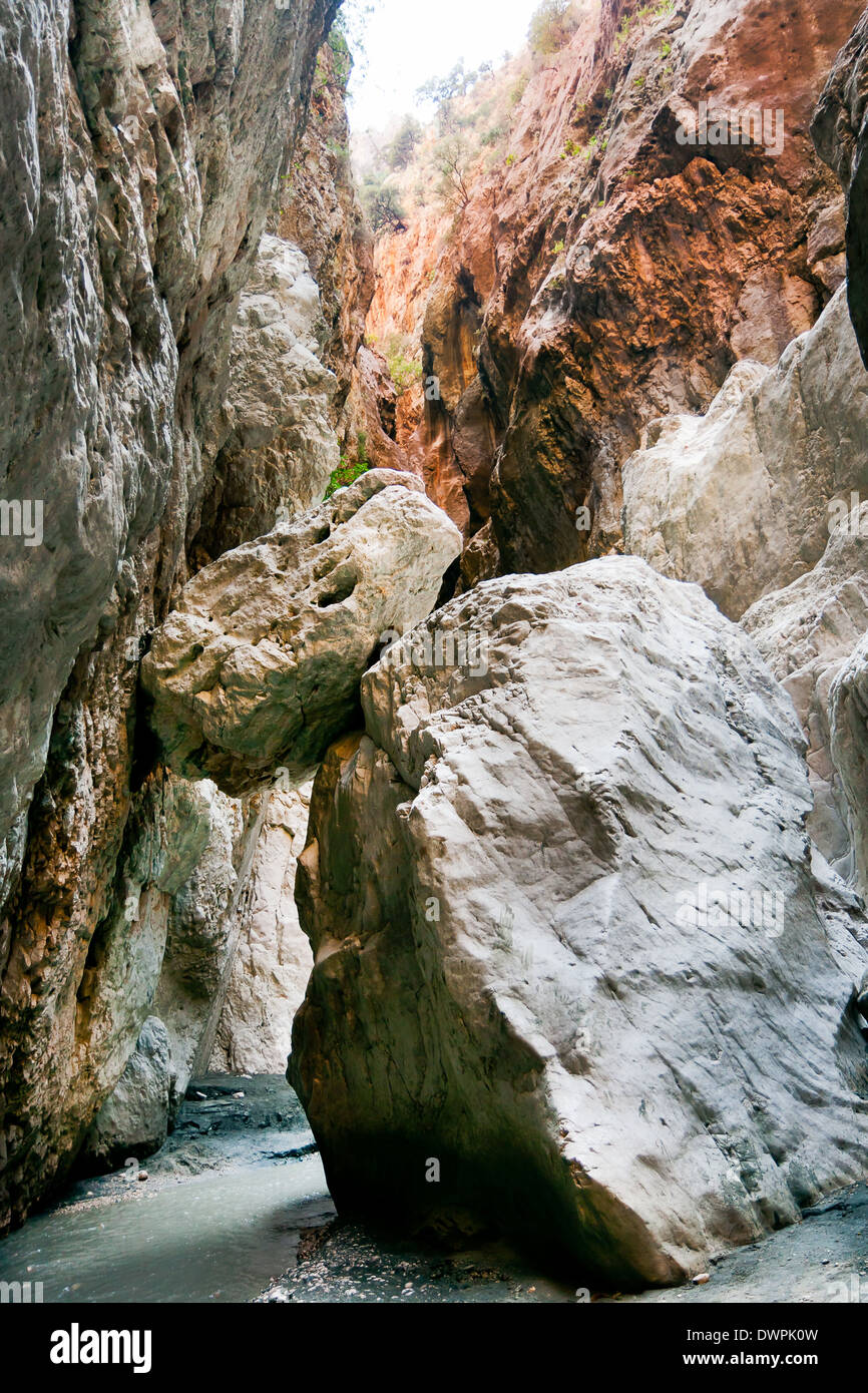 Canyon turkey hi-res stock photography and images - Alamy
