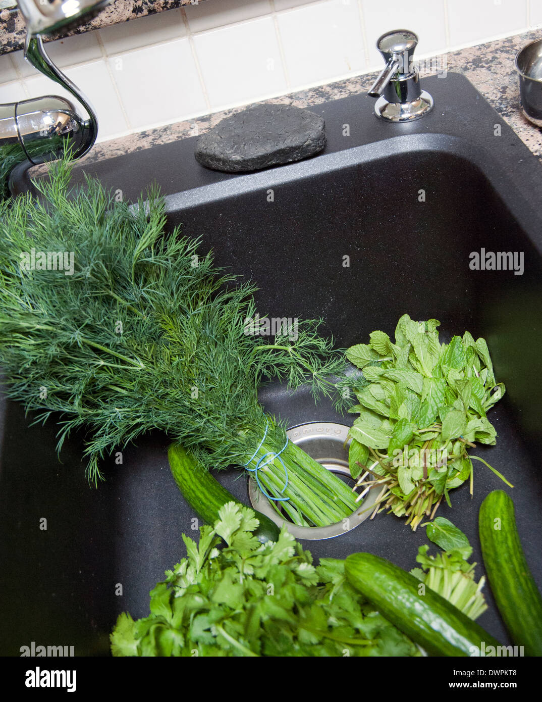 Variety of green vegetables and herbs in kitchen sink ready to be ...