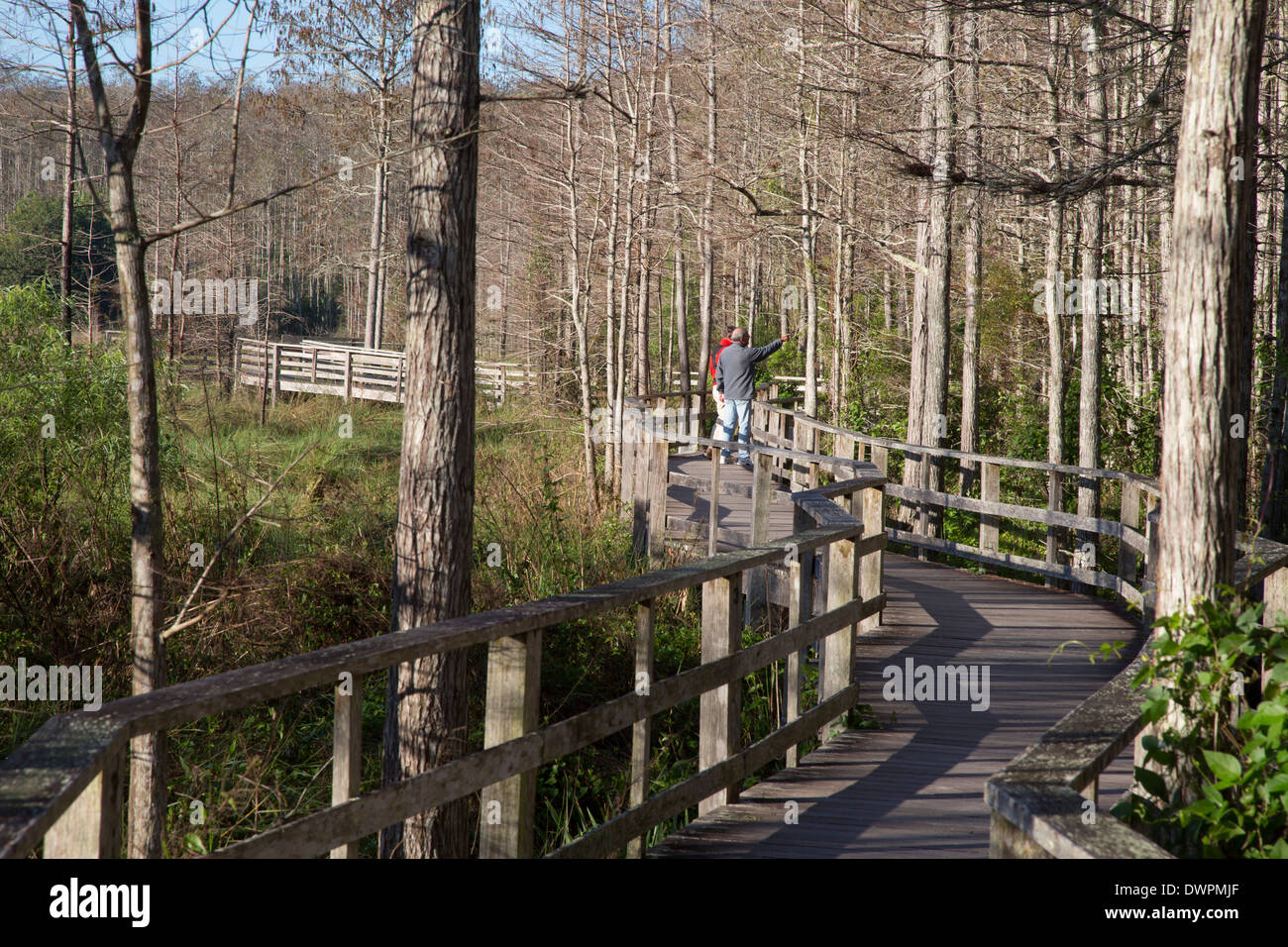 Naples, Florida - People on the boardwalk in the National Audubon ...