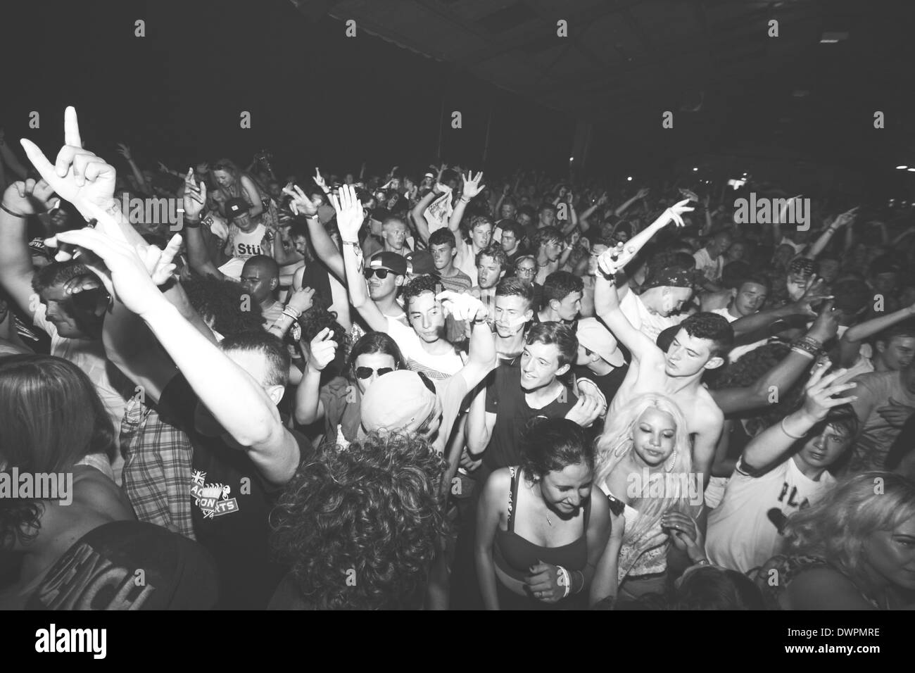 Black And White Concert Crowd