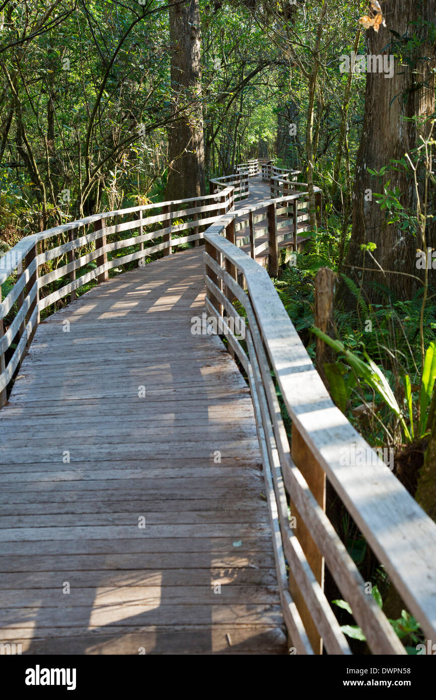 Naples, Florida - The National Audubon Society's Corkscrew Swamp ...