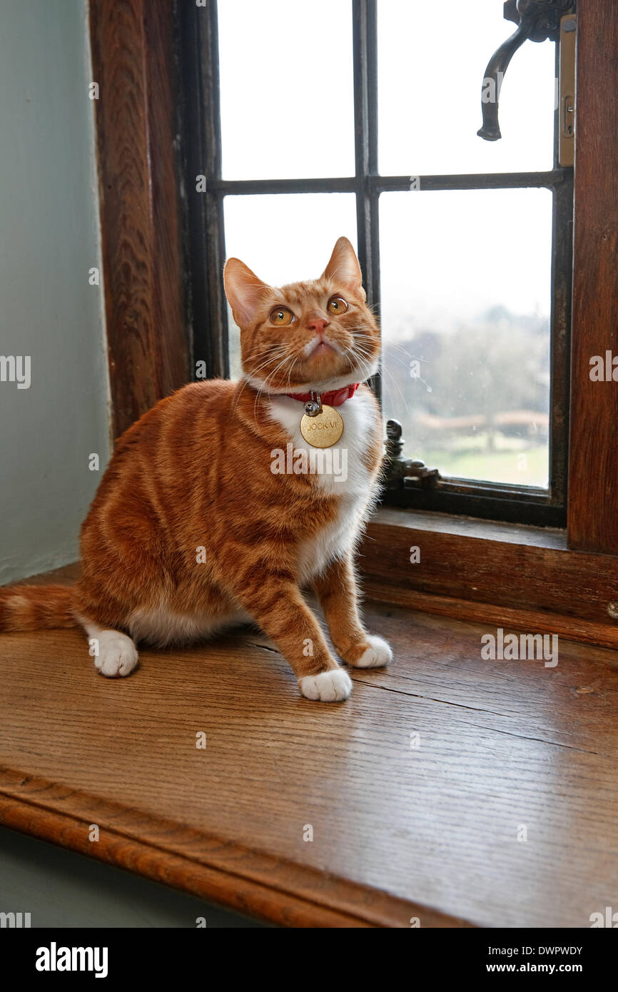 Westerham,UK,12th March 2014,Sir Winston Churchills home Chartwell ...