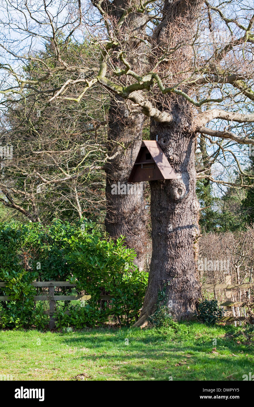 Owl house tree hi-res stock photography and images - Alamy