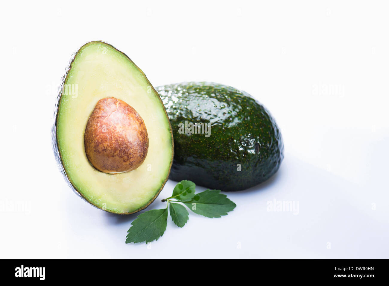 close up shot of avocado Stock Photo - Alamy