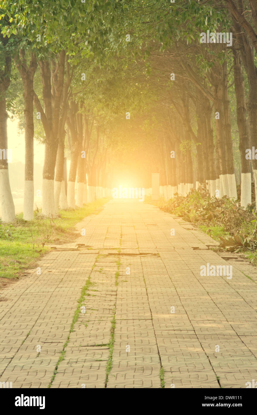 Pathway path sidewalk hi-res stock photography and images - Alamy