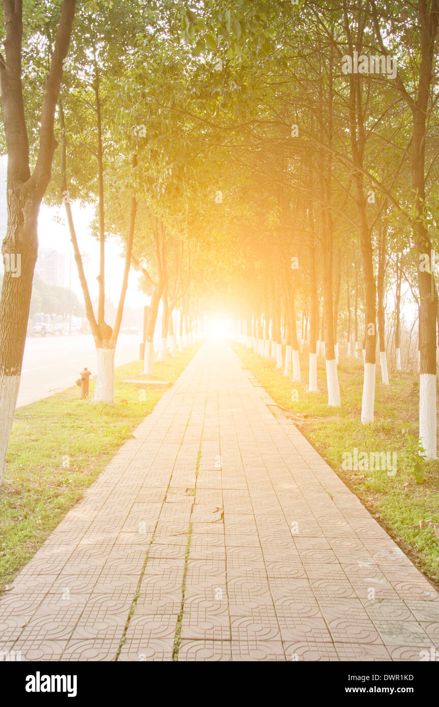 Pathway path sidewalk hi-res stock photography and images - Alamy