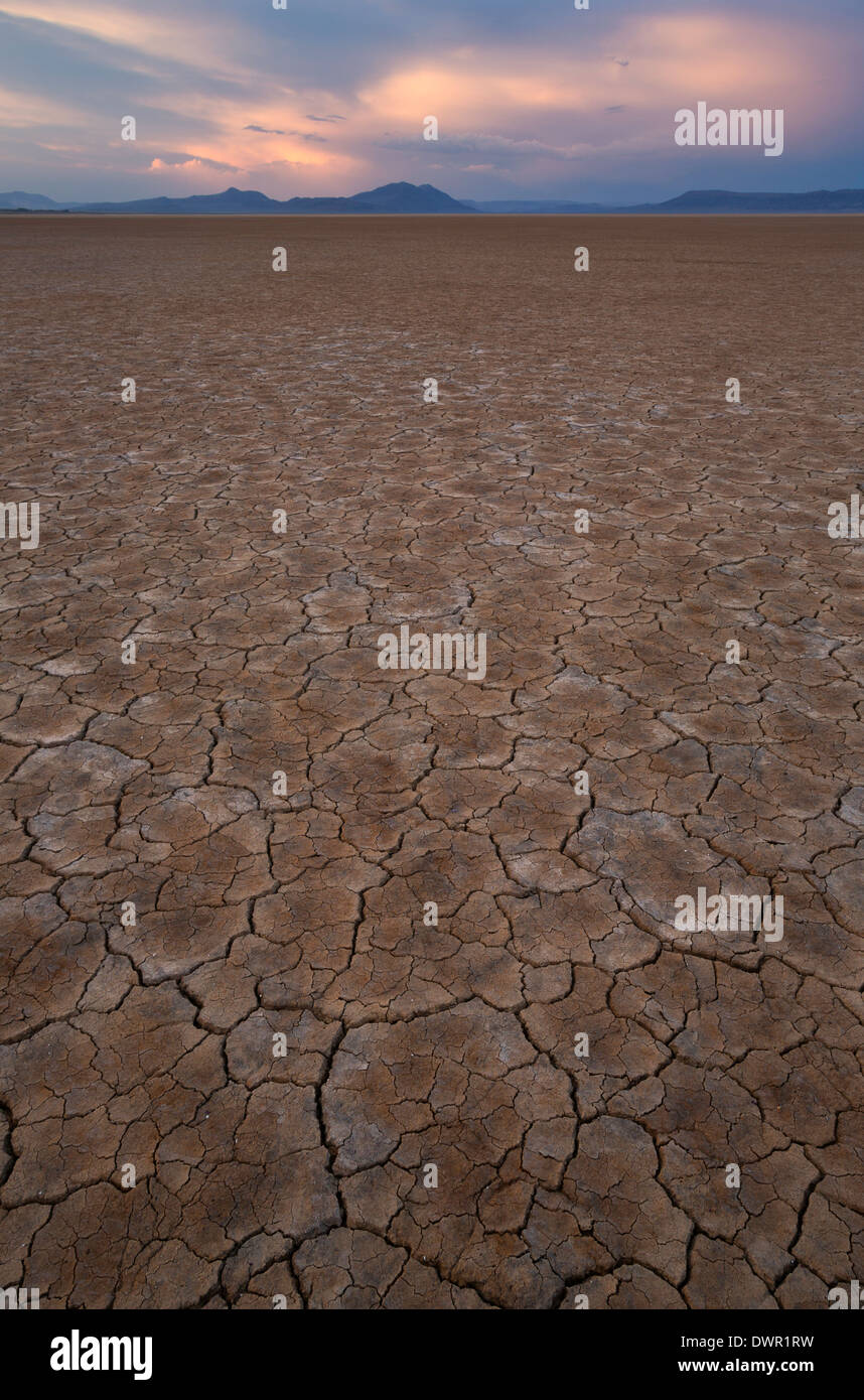 Alvord desert hi-res stock photography and images - Alamy