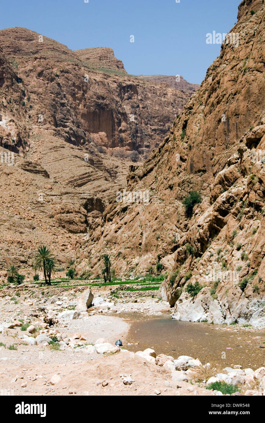 Rock climbing todra gorge morocco hi-res stock photography and images ...