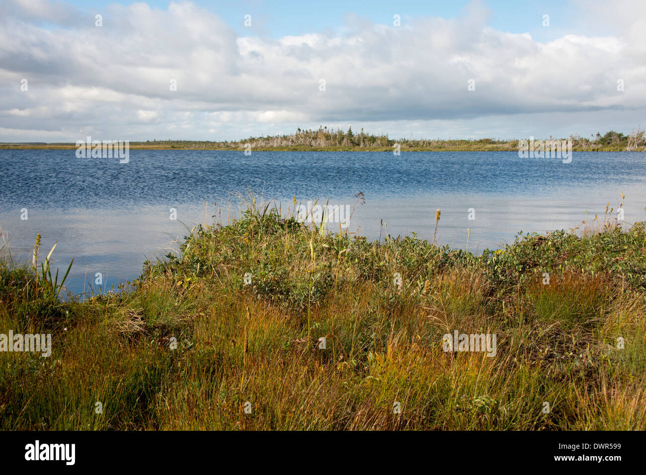 Canada newfoundland hi-res stock photography and images - Alamy