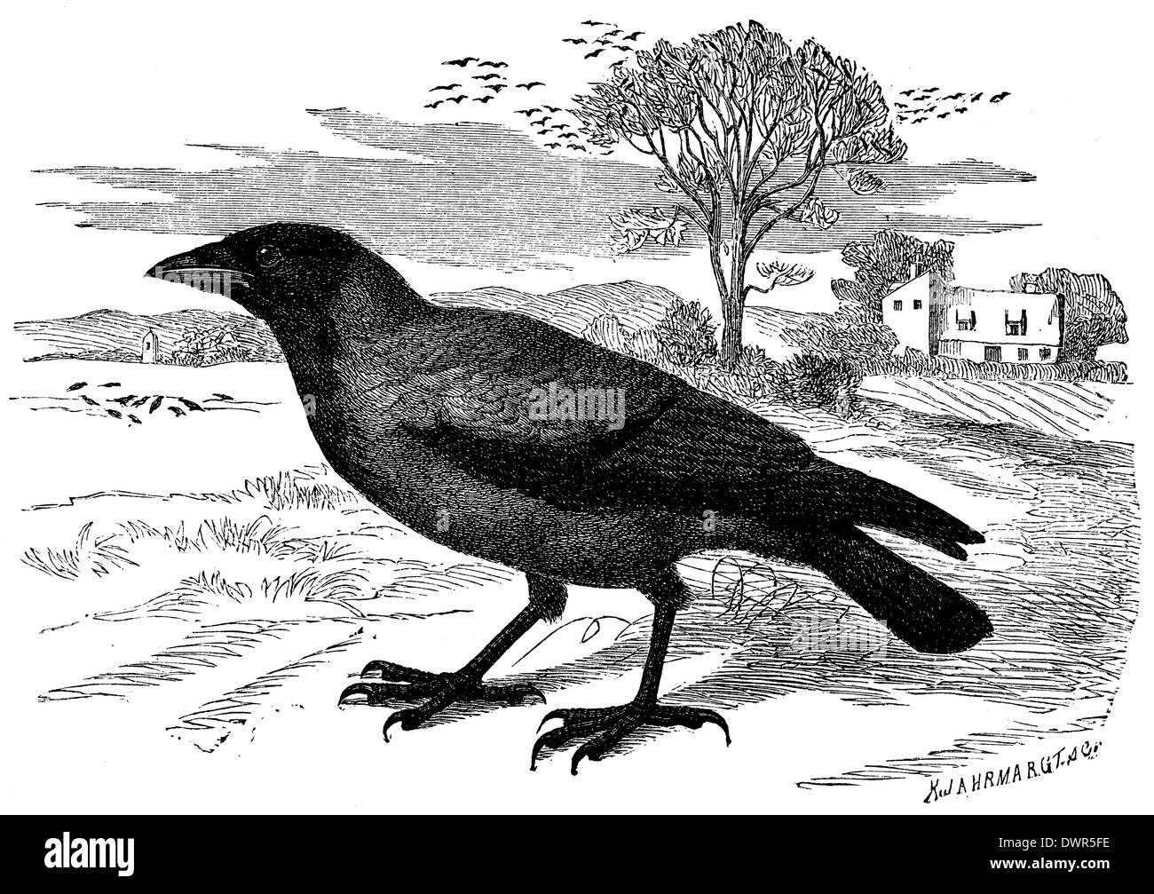 White hooded figure hi-res stock photography and images - Alamy