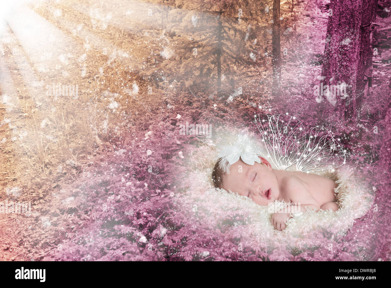 Girl sleeping in forest hi-res stock photography and images - Alamy